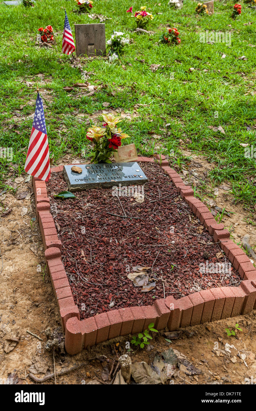 Grave marker in memory of Old Roy at the Key Underwood Coon Dog ...