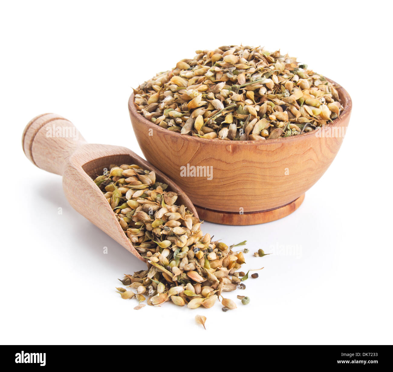 utsho suneli seeds isolated on white background Stock Photo - Alamy