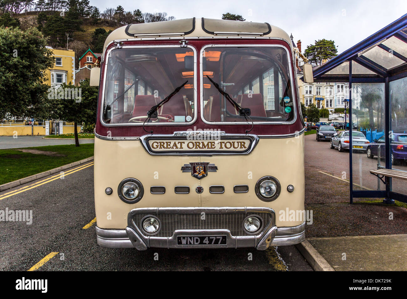 An old Leyland Tiger cub coach Stock Photo - Alamy