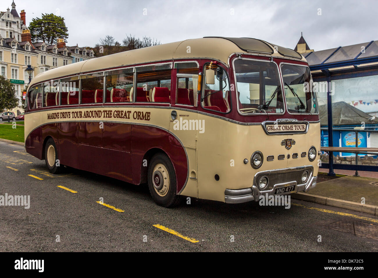 An old Leyland Tiger cub coach Stock Photo - Alamy