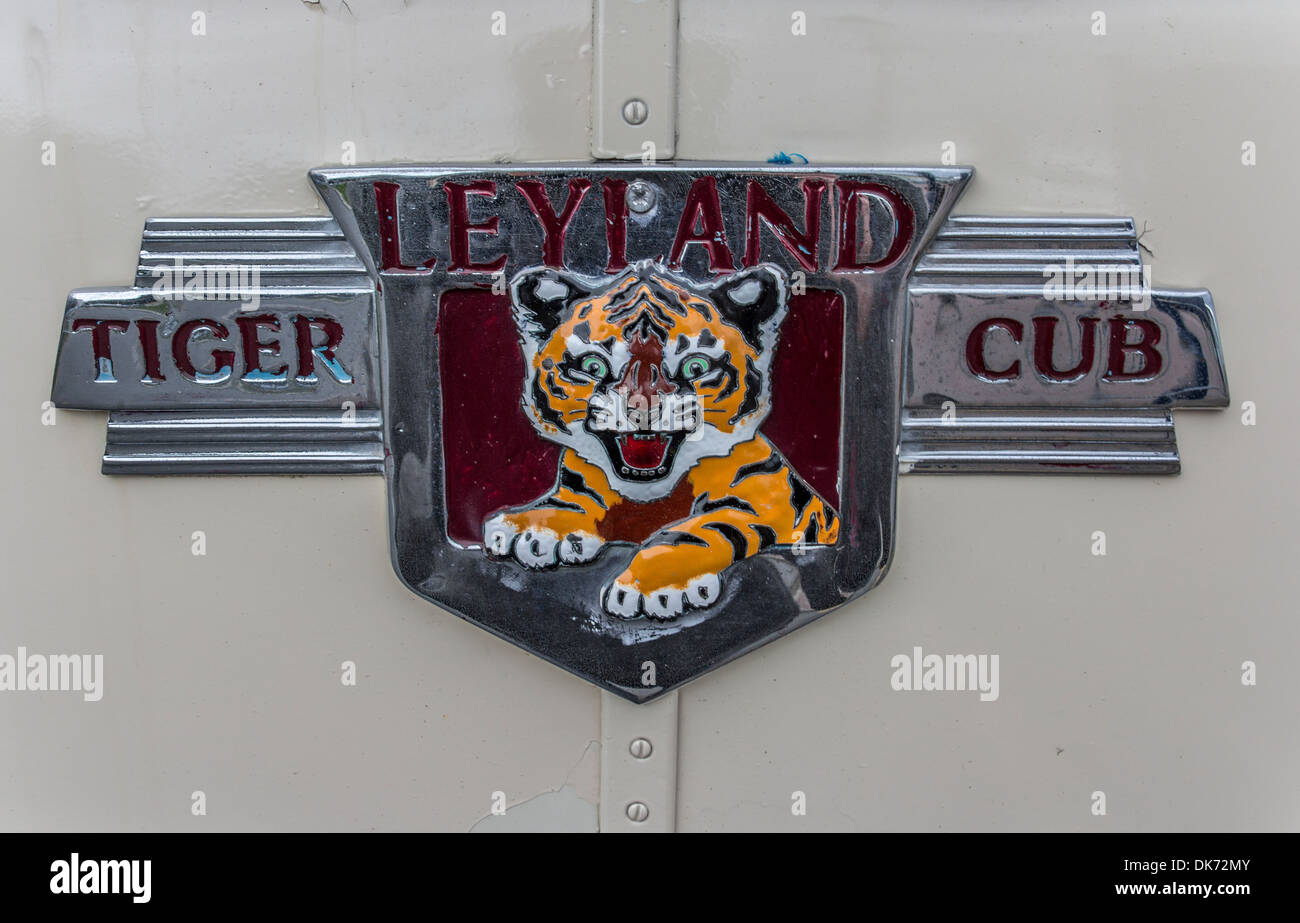An old Leyland Tiger cub coach Stock Photo - Alamy