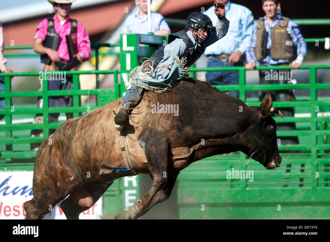 Chandler bownds hi-res stock photography and images - Alamy