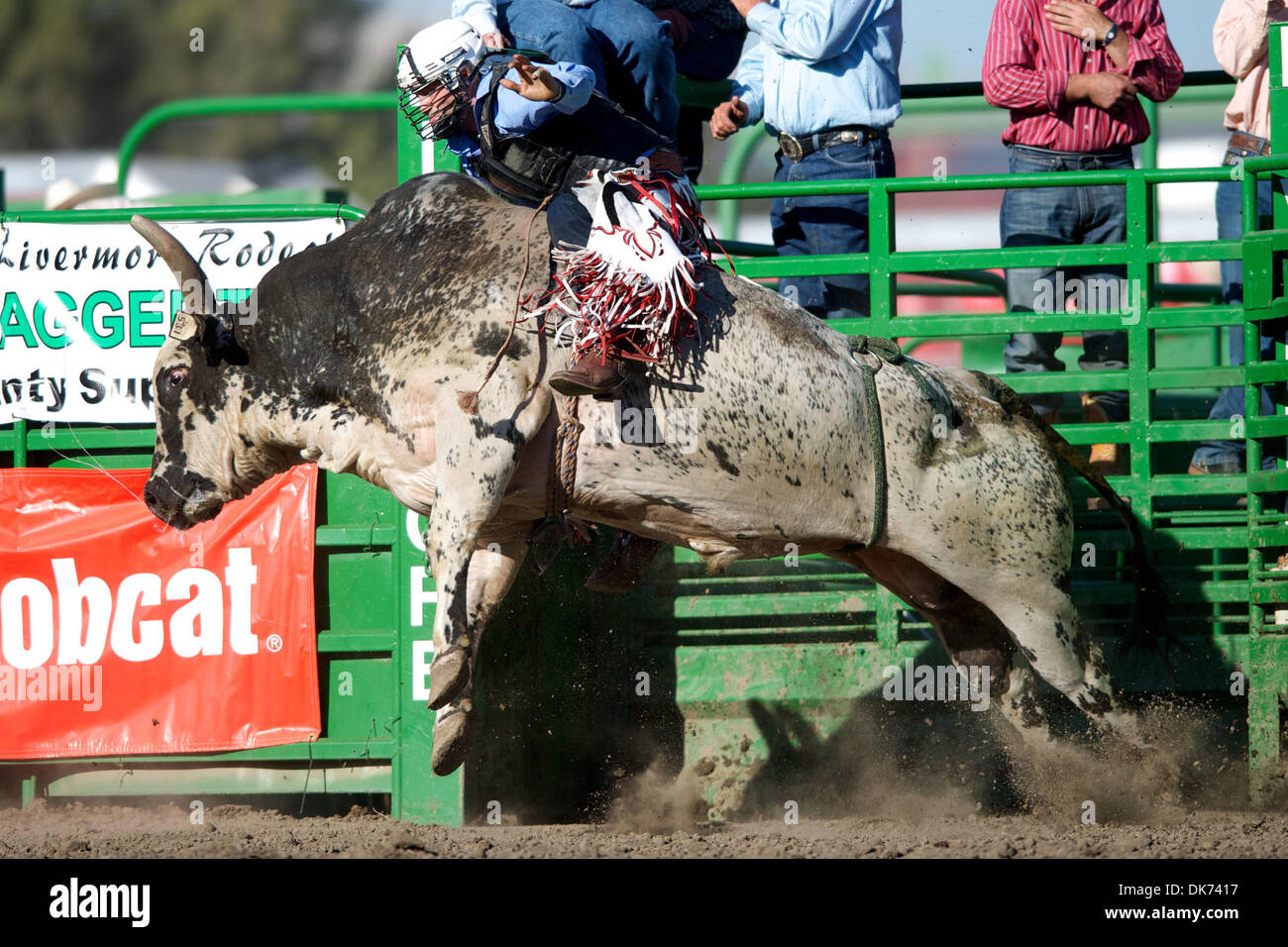 Shane Proctor High Resolution Stock Photography and Images - Alamy