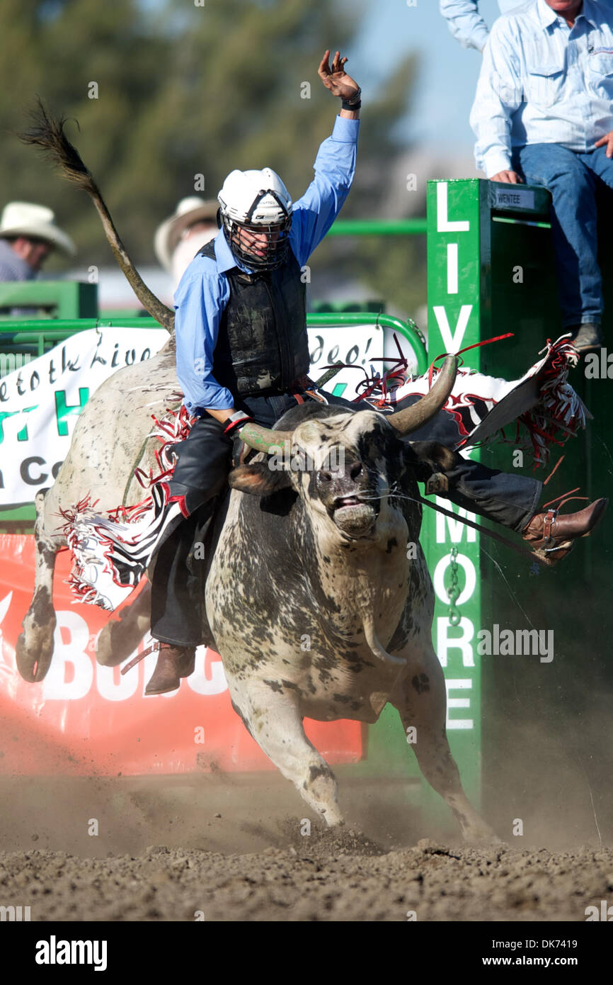 Shane proctor hi-res stock photography and images - Alamy