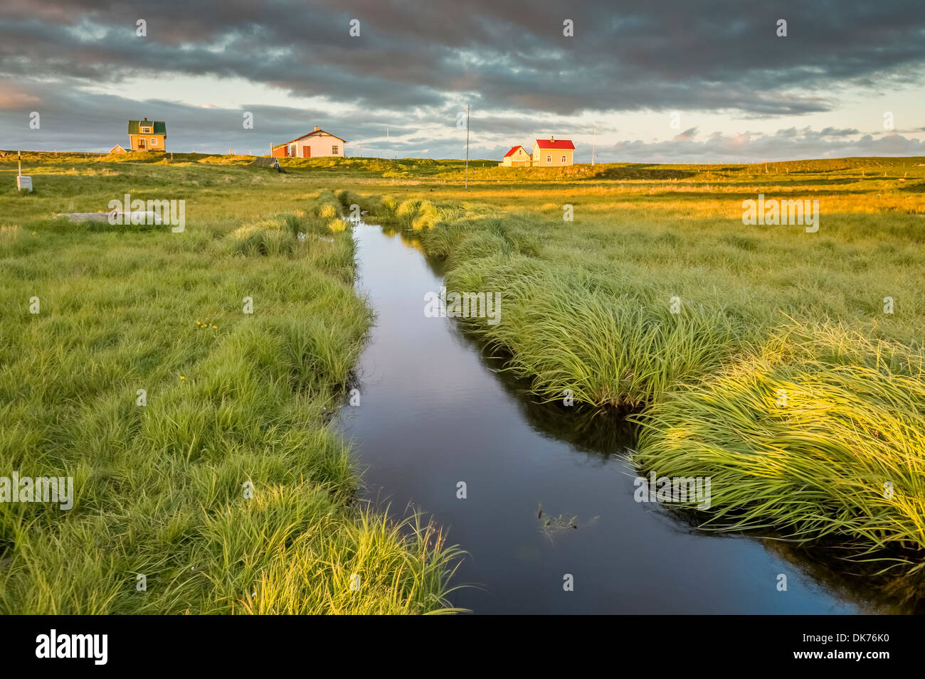Swamps and marshlands hi-res stock photography and images - Alamy