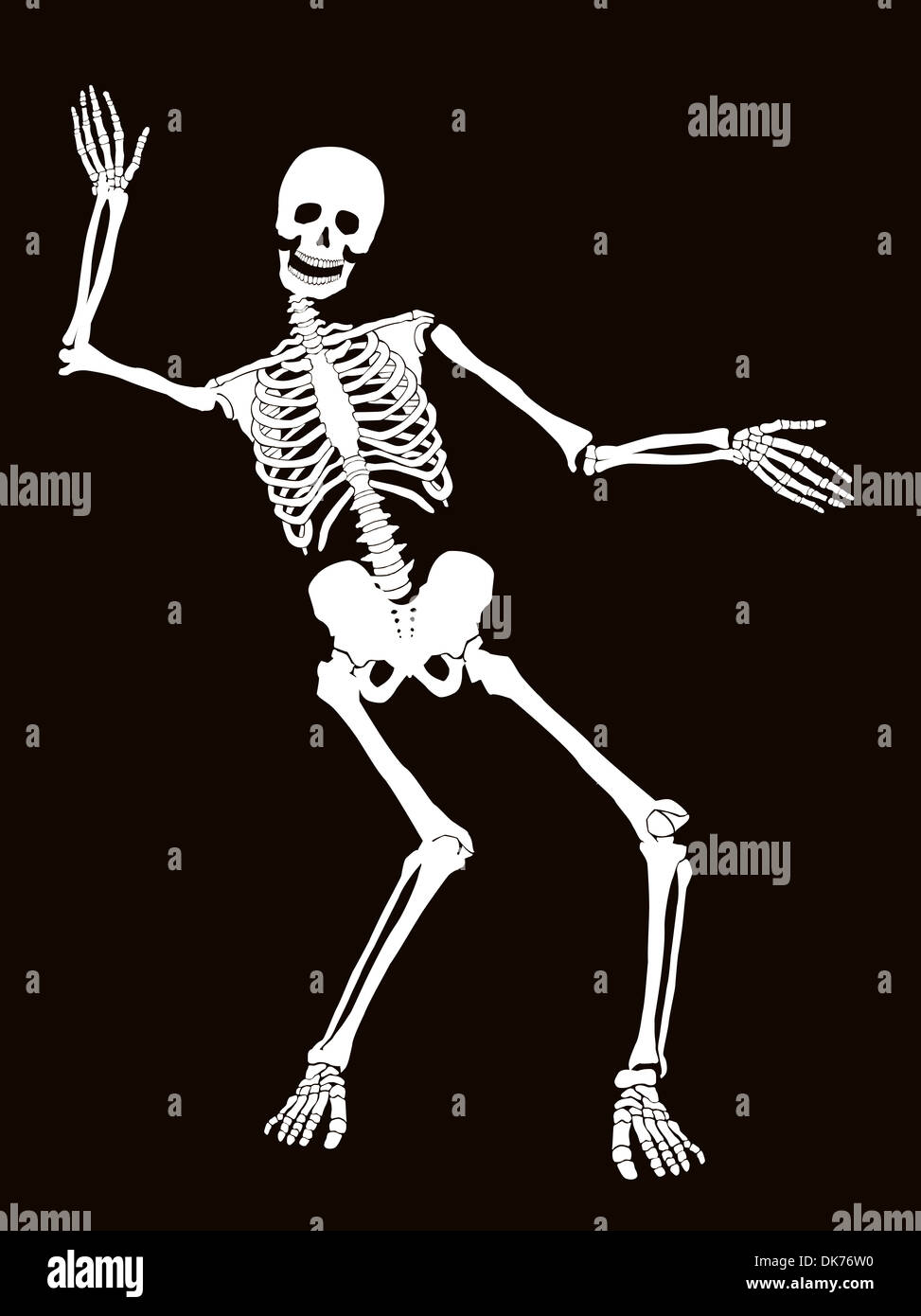 Funny Skeleton Body