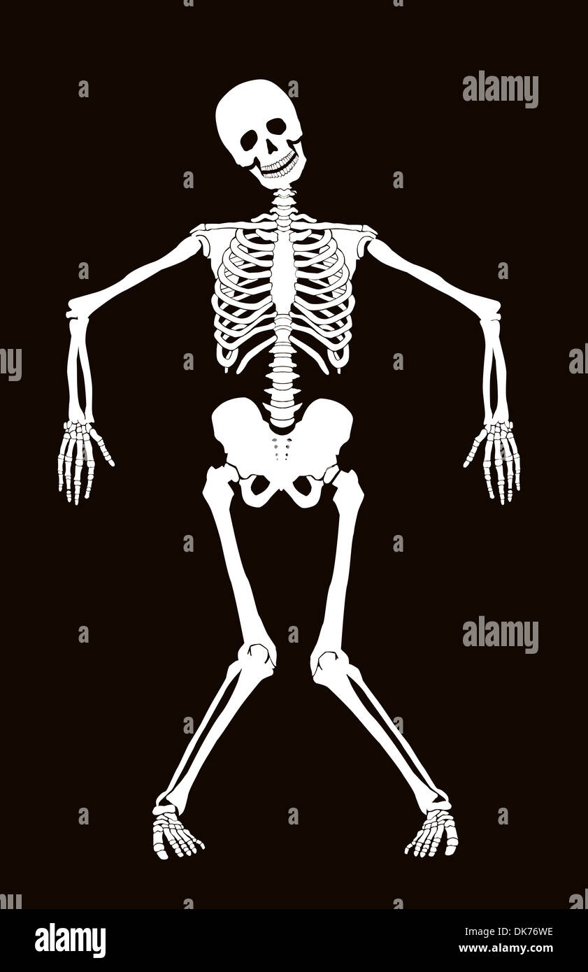 Funny skeleton cartoon hi-res stock photography and images - Alamy