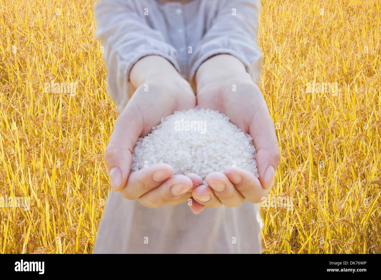 Woman holding rice Stock Photo - Alamy