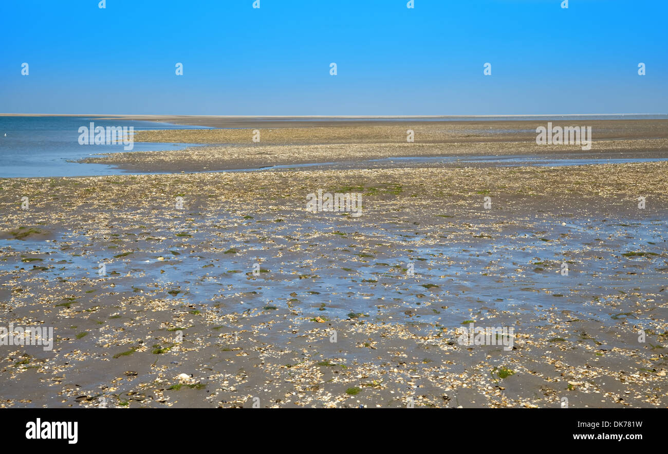 danish wadden sea national park Stock Photo - Alamy
