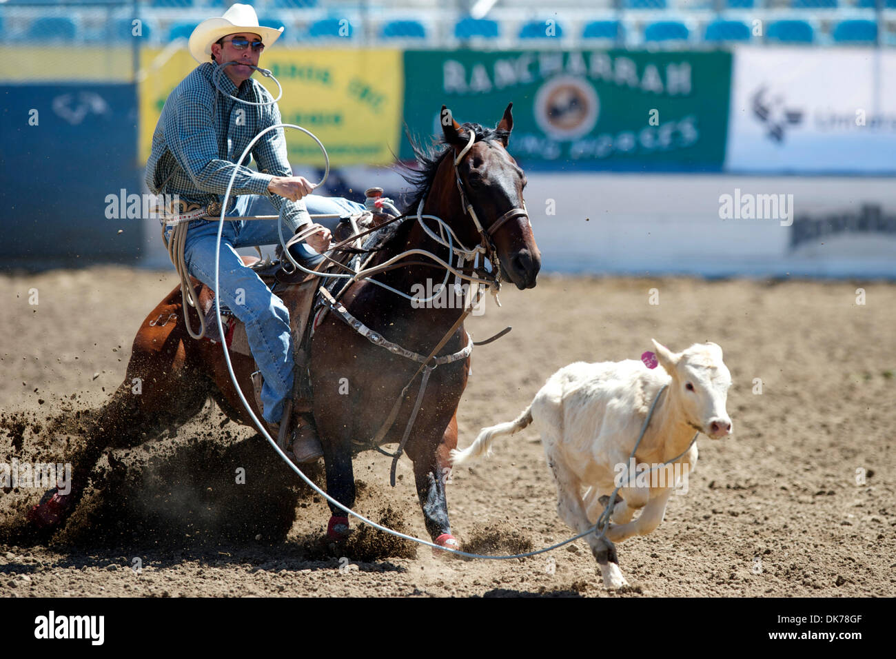 Roger nonella hi-res stock photography and images - Alamy