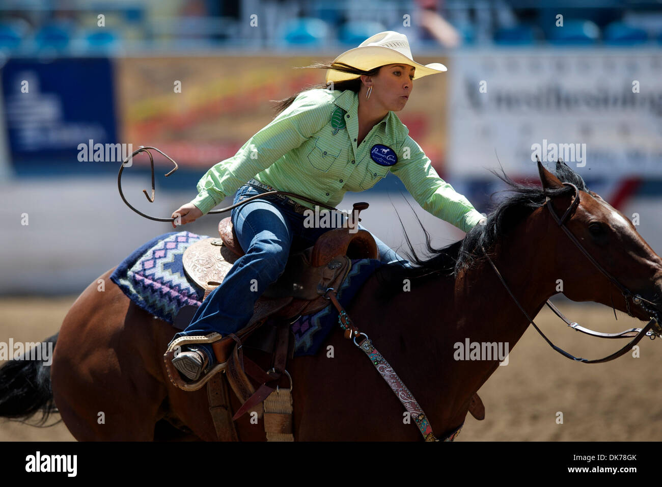 Robbins jpg hi-res stock photography and images - Alamy