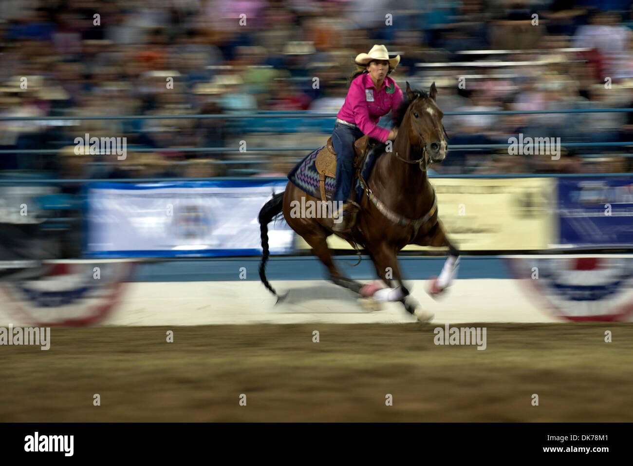 Robbins jpg hi-res stock photography and images - Alamy