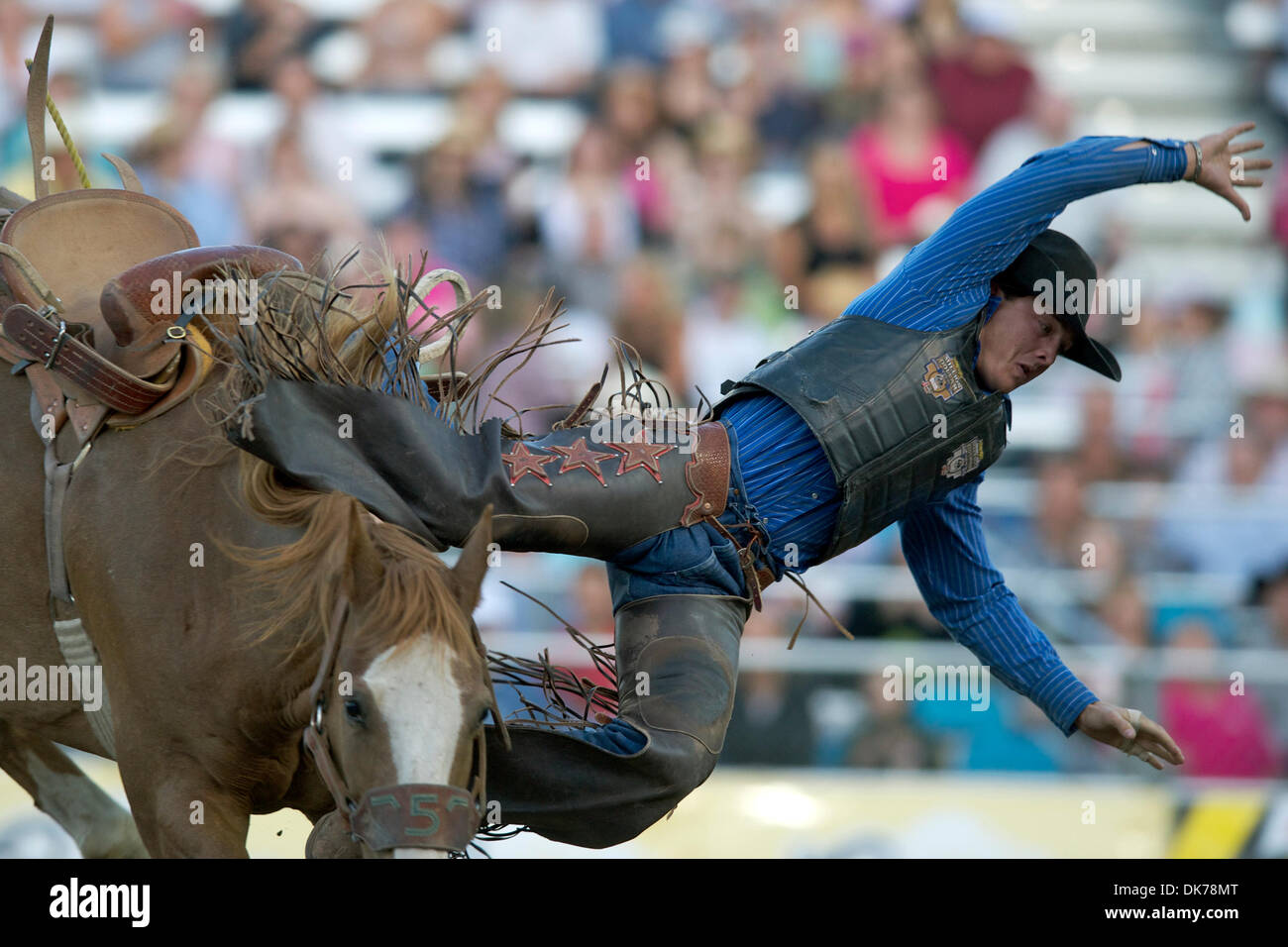 Rodeo cowboy gets bucked off hi-res stock photography and images - Alamy