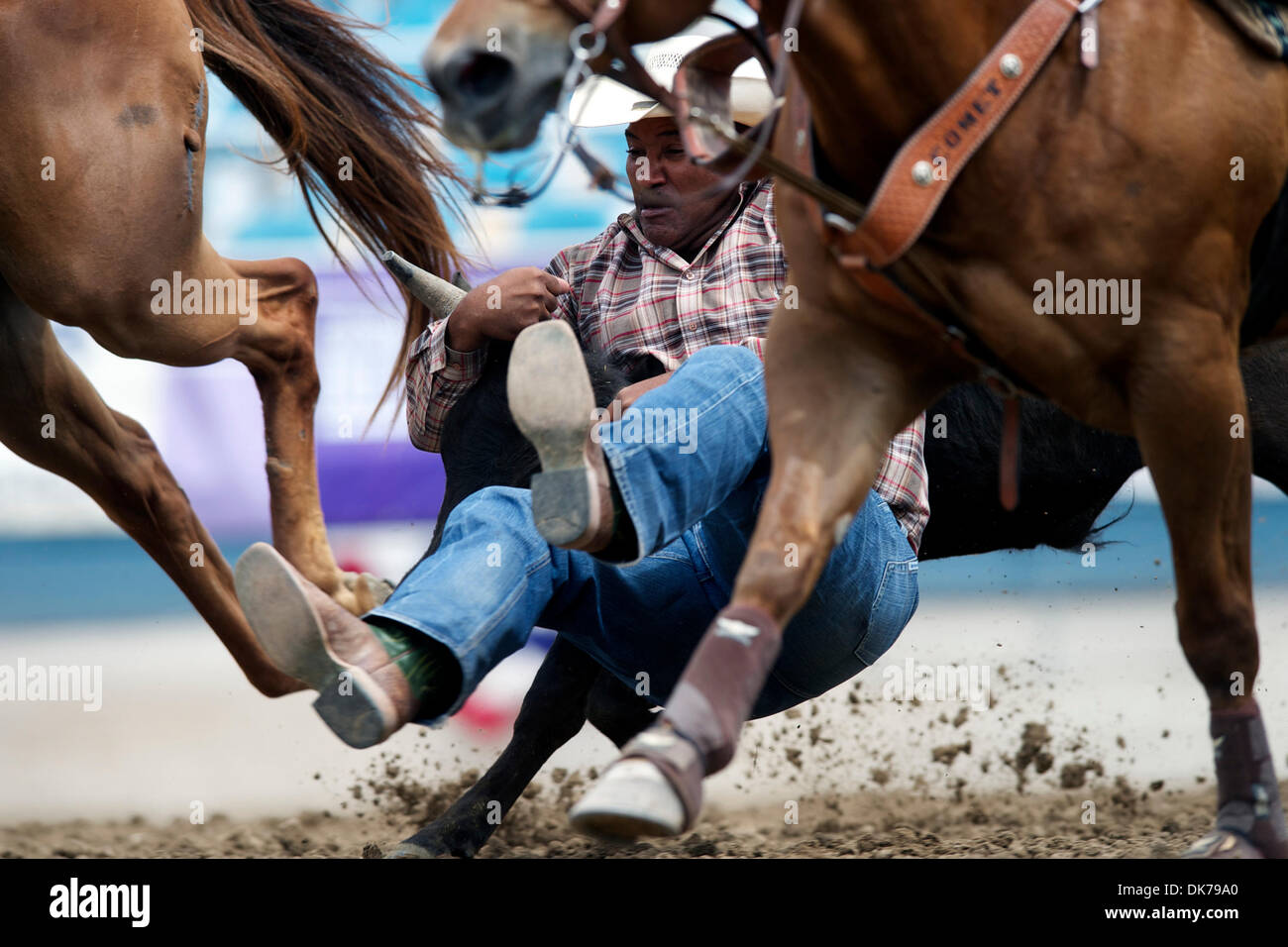 June 18, 2011 - Reno, Nevada, U.S - Ben Goodman of Beaumont, TX ...