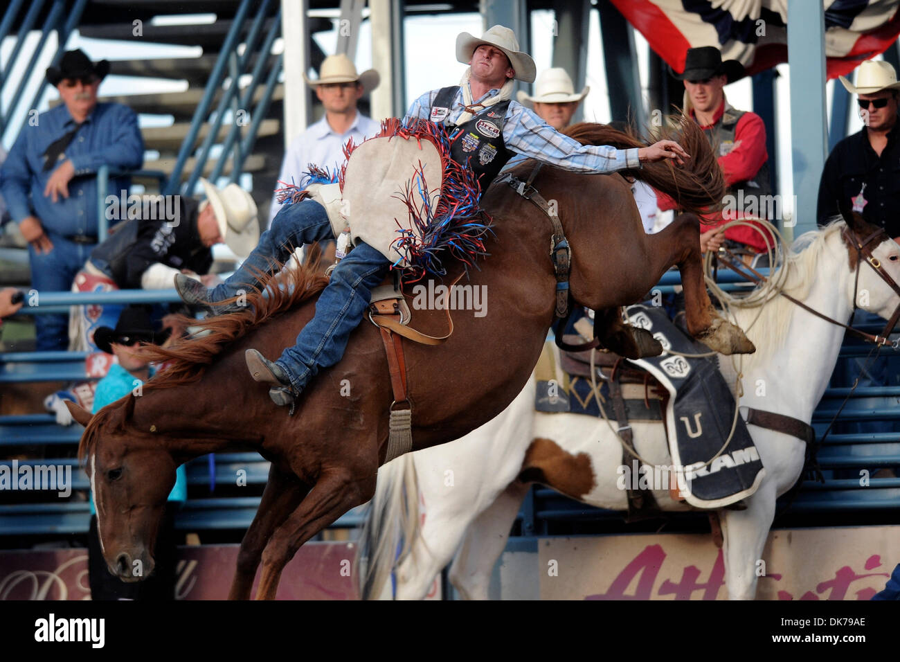 Teddy reno hi-res stock photography and images - Alamy