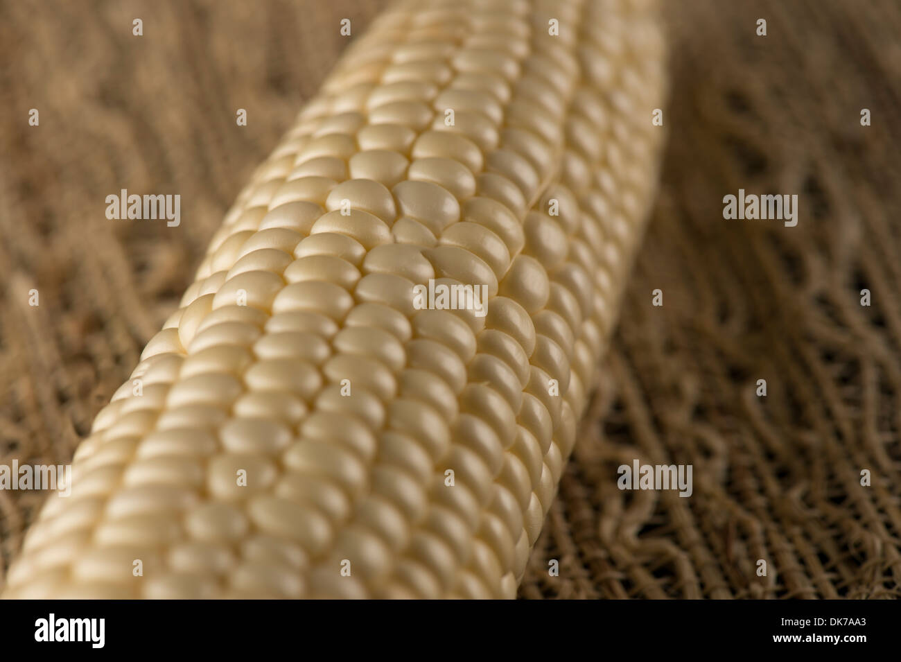 Kernel corn cob close up hi-res stock photography and images - Alamy