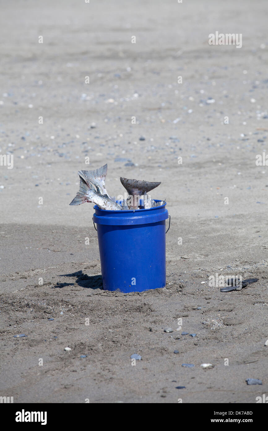 Blue sand bucket hi-res stock photography and images - Alamy