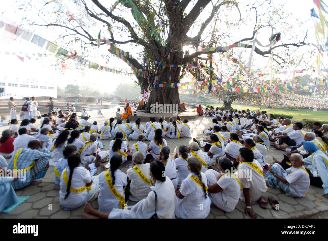 Pilgrims in prayer under a Sacred tree in Lumbini, the Birthplace of ...