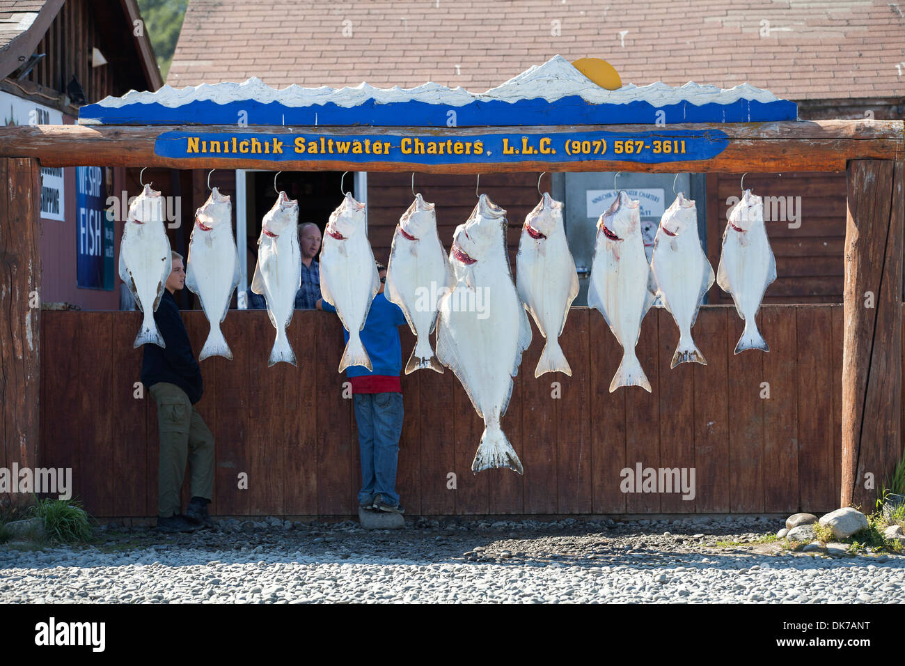 Fish hanging, Kenai, Alaska, USA Stock Photo - Alamy