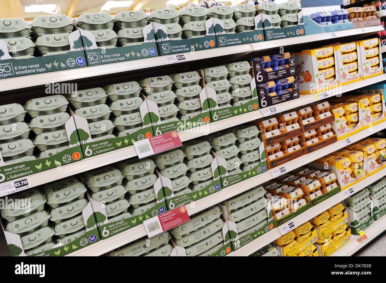 Supermarket interior showing eggs, Britain, UK Stock Photo: 63471951 ...