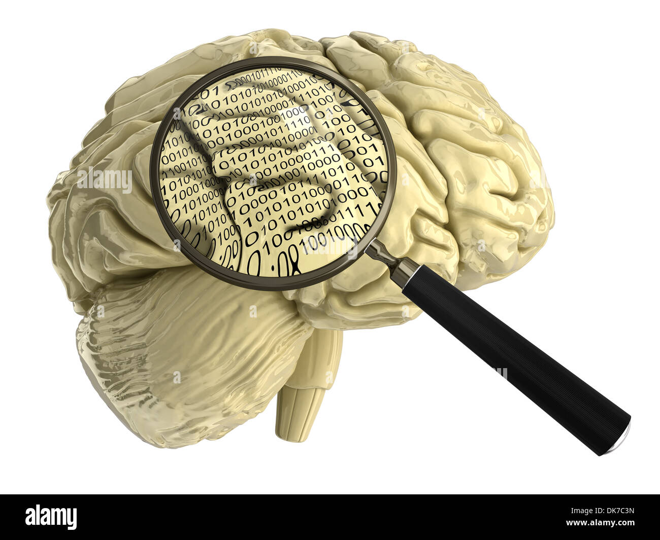 human brain with Magnifying Glass Stock Photo - Alamy