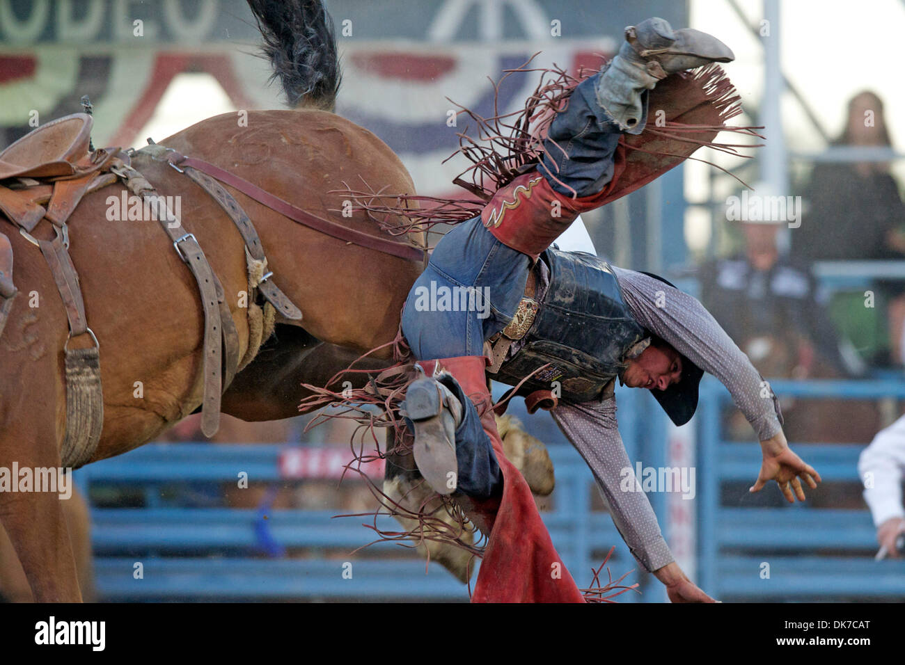 Rodeo cowboy gets bucked off hi-res stock photography and images - Alamy