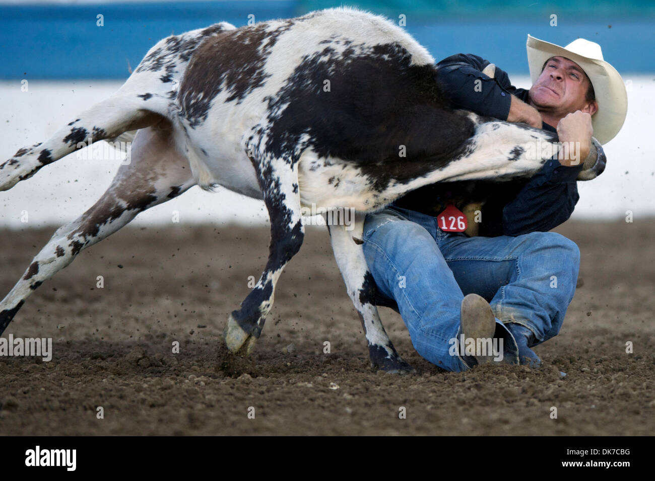 June 19, 2011 - Reno, Nevada, U.S - Steer wrestler Ty Talsma of ...