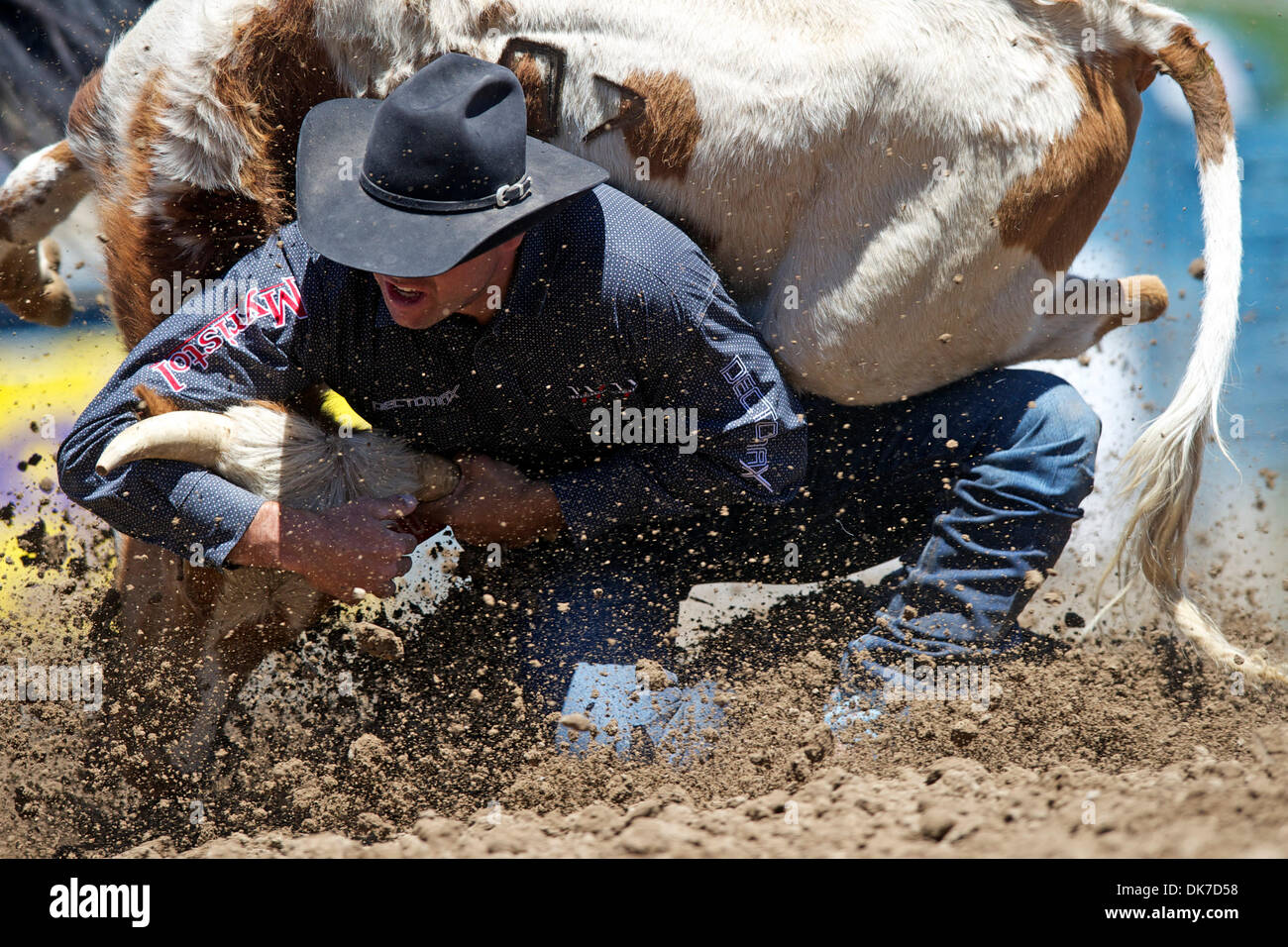 June 20, 2011 - Reno, California, U.S. - Steer wrestler Matt Reeves of ...