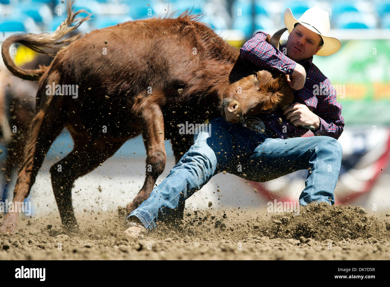 June 20, 2011 - Reno, California, U.S. - Steer wrestler Todd Maughan of ...