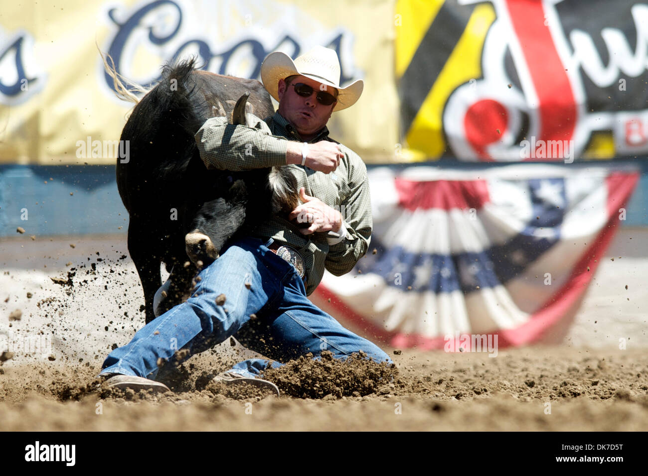 June 20, 2011 - Reno, California, U.S. - Steer wrestler Hunter Cure of ...