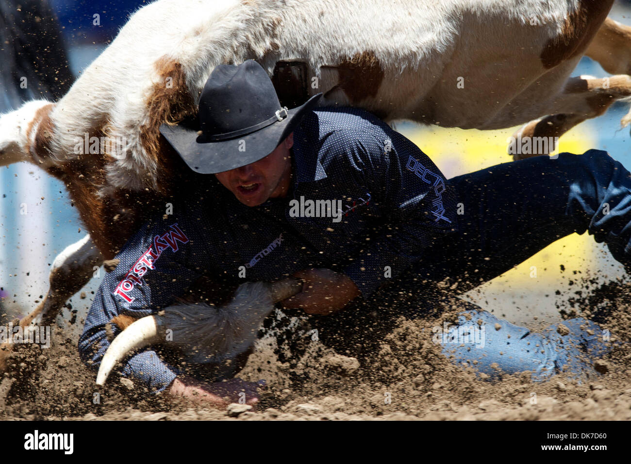 June 20, 2011 - Reno, Nevada, U.S - Steer wrestler Matt Reeves of Cross ...