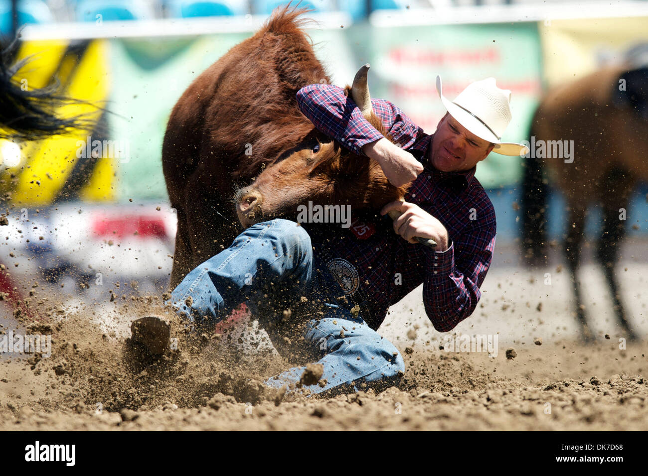 June 20, 2011 - Reno, Nevada, U.S - Steer wrestler Todd Maughan of ...