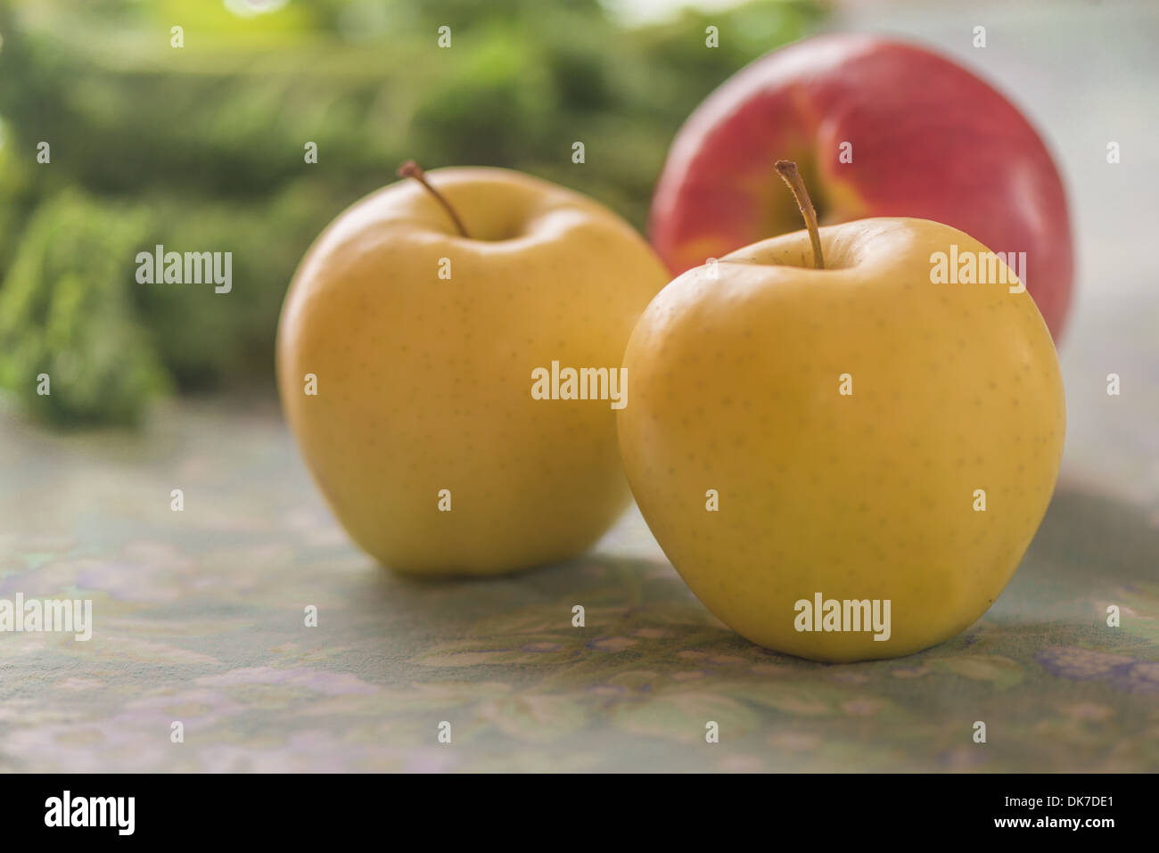 Golden delicious red delicious hi-res stock photography and images - Alamy
