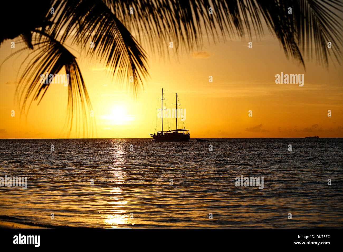 ship sailing into the sunset with palm trees Stock Photo - Alamy