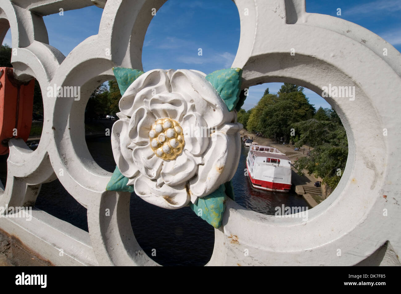 White rose of yorkshire hi-res stock photography and images - Alamy
