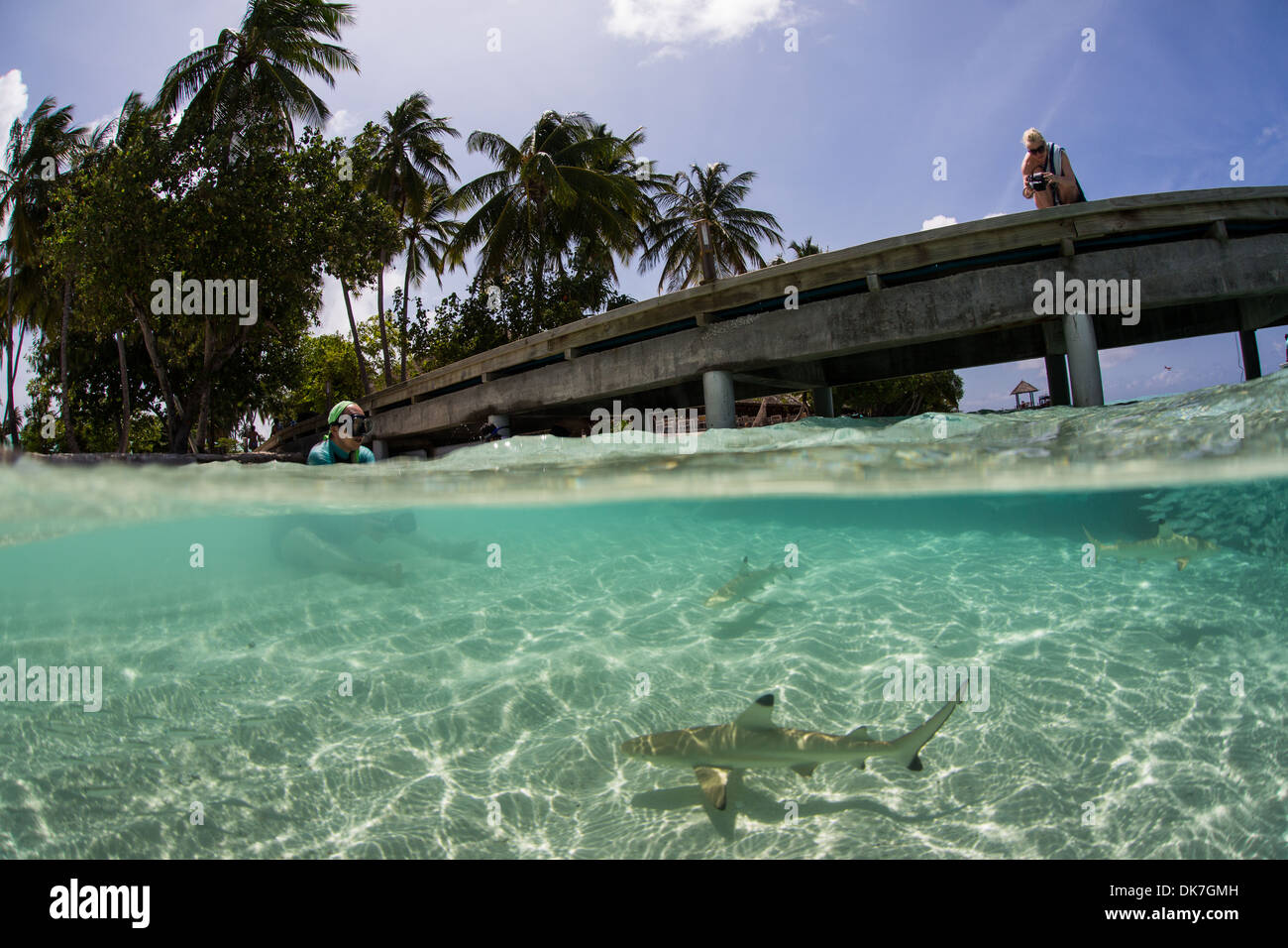 Half water half sand hi-res stock photography and images - Alamy