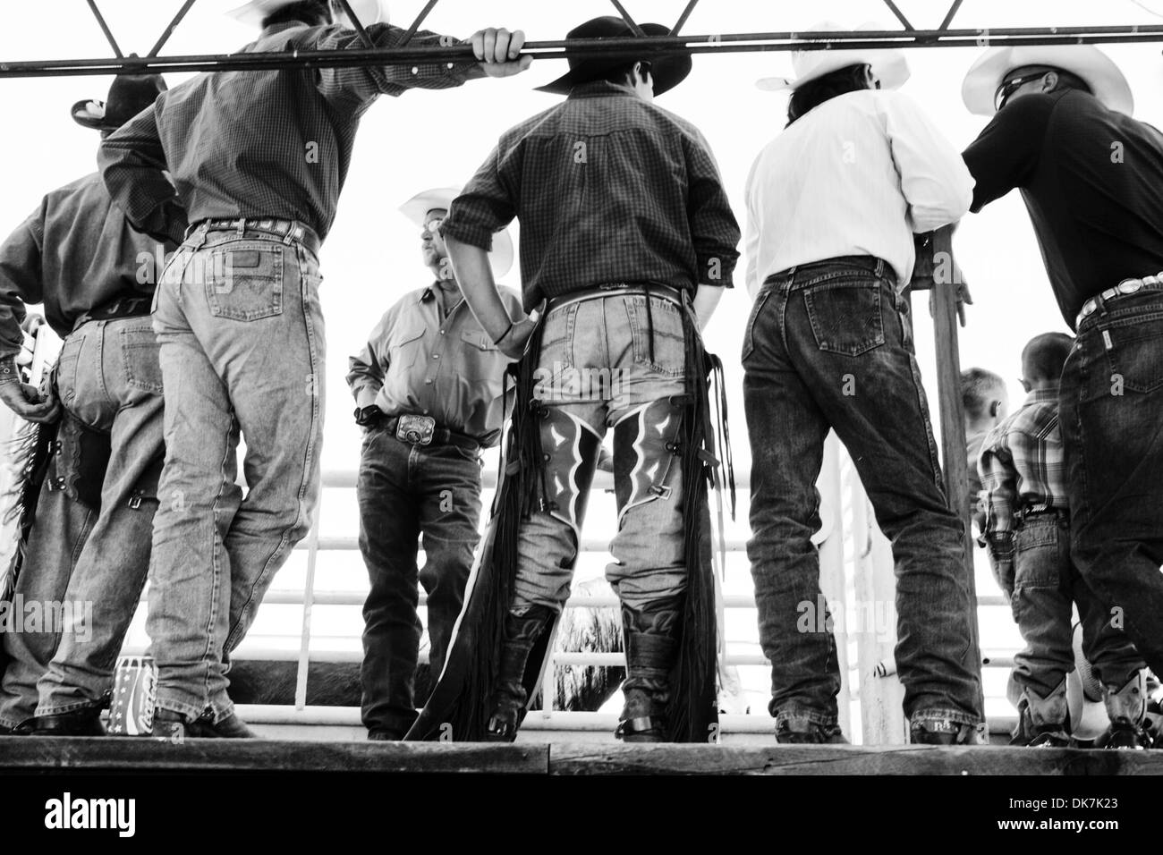 Rodeo Black and White Stock Photos & Images - Alamy