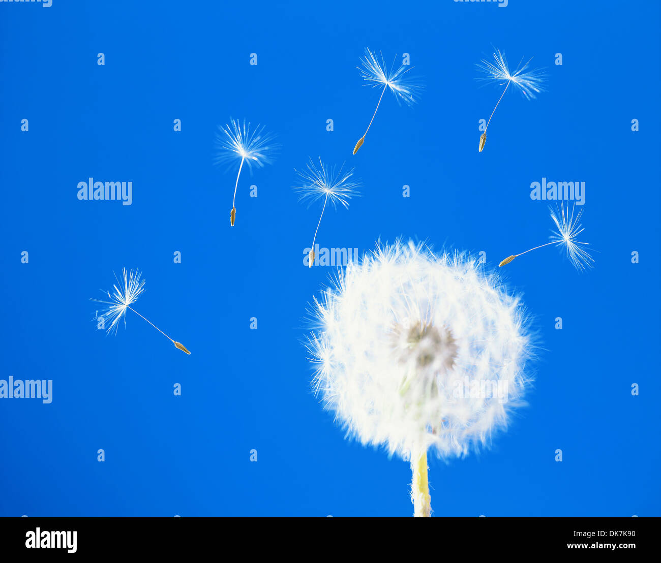 Nakasen town hi-res stock photography and images - Alamy
