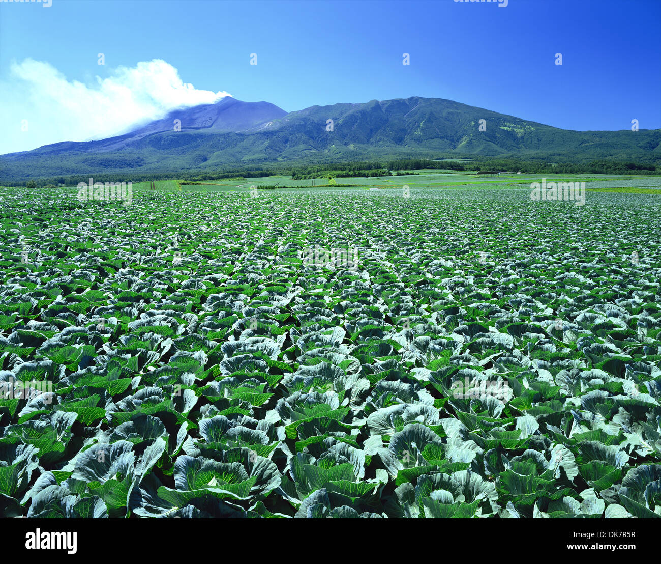 Gunma Japan Stock Photos & Gunma Japan Stock Images - Alamy