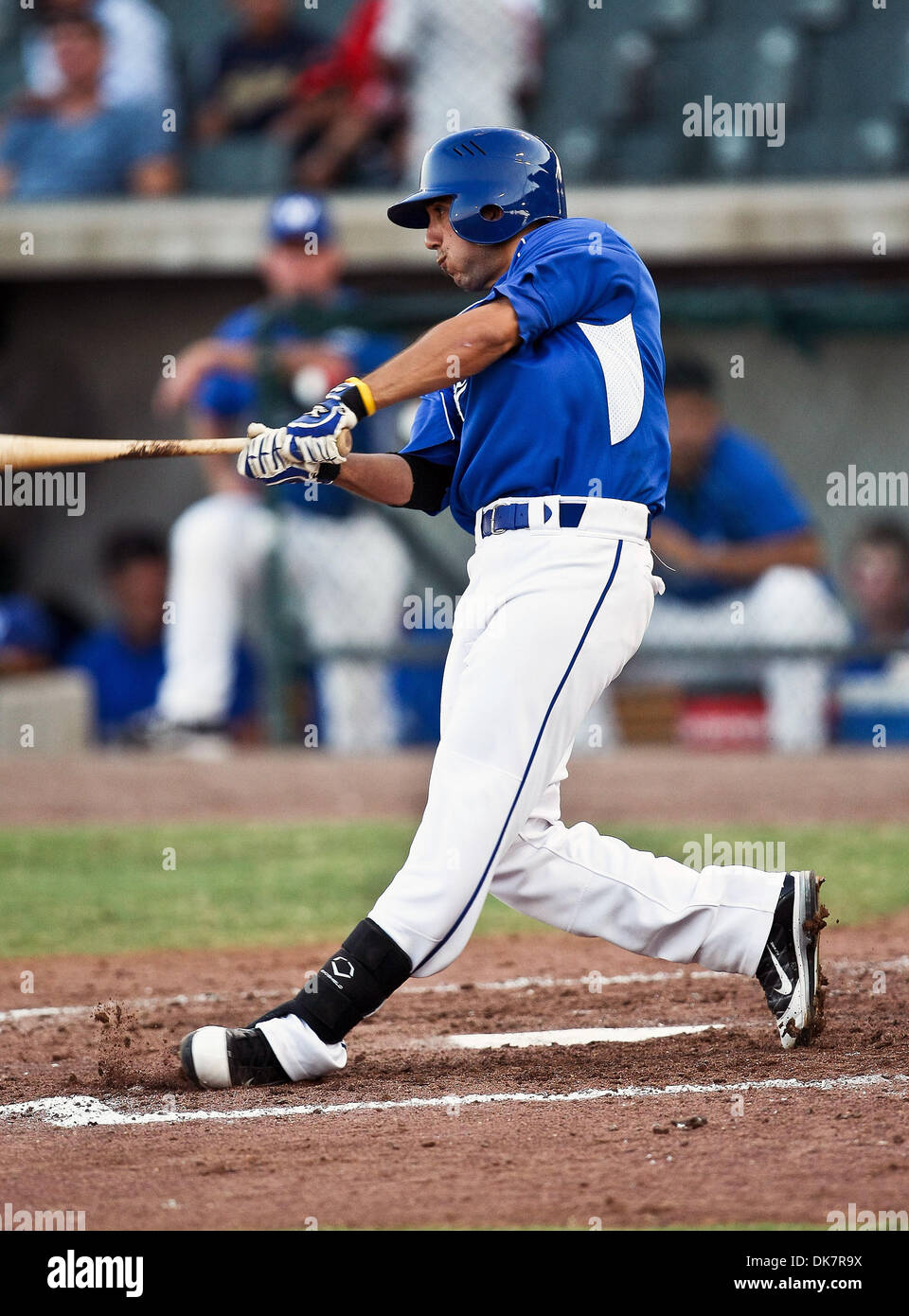 Fort worth cats baseball hi-res stock photography and images - Alamy