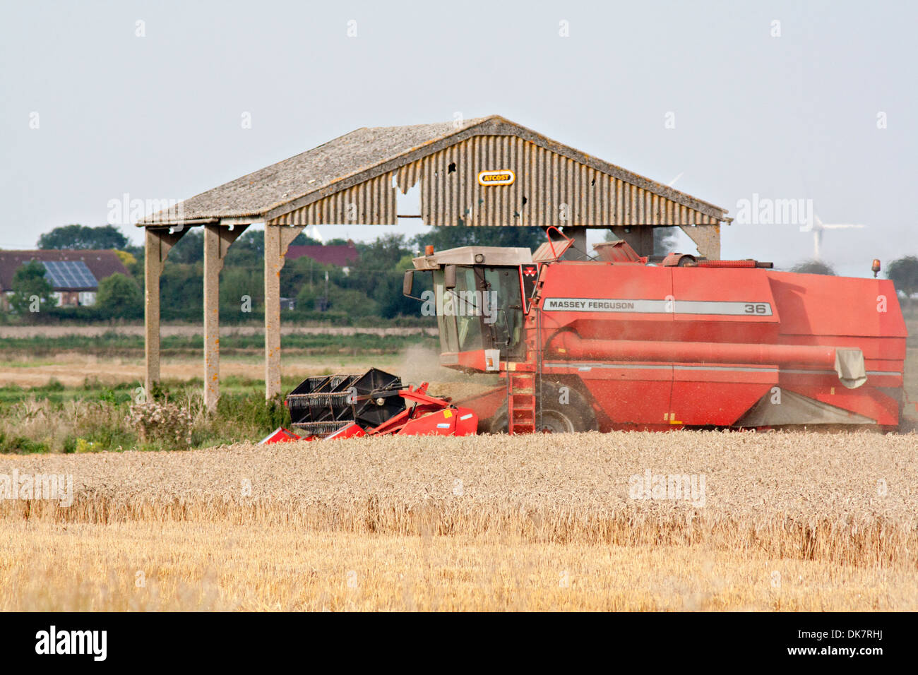 Massey Ferguson combine working with open barn behind Stock Photo - Alamy
