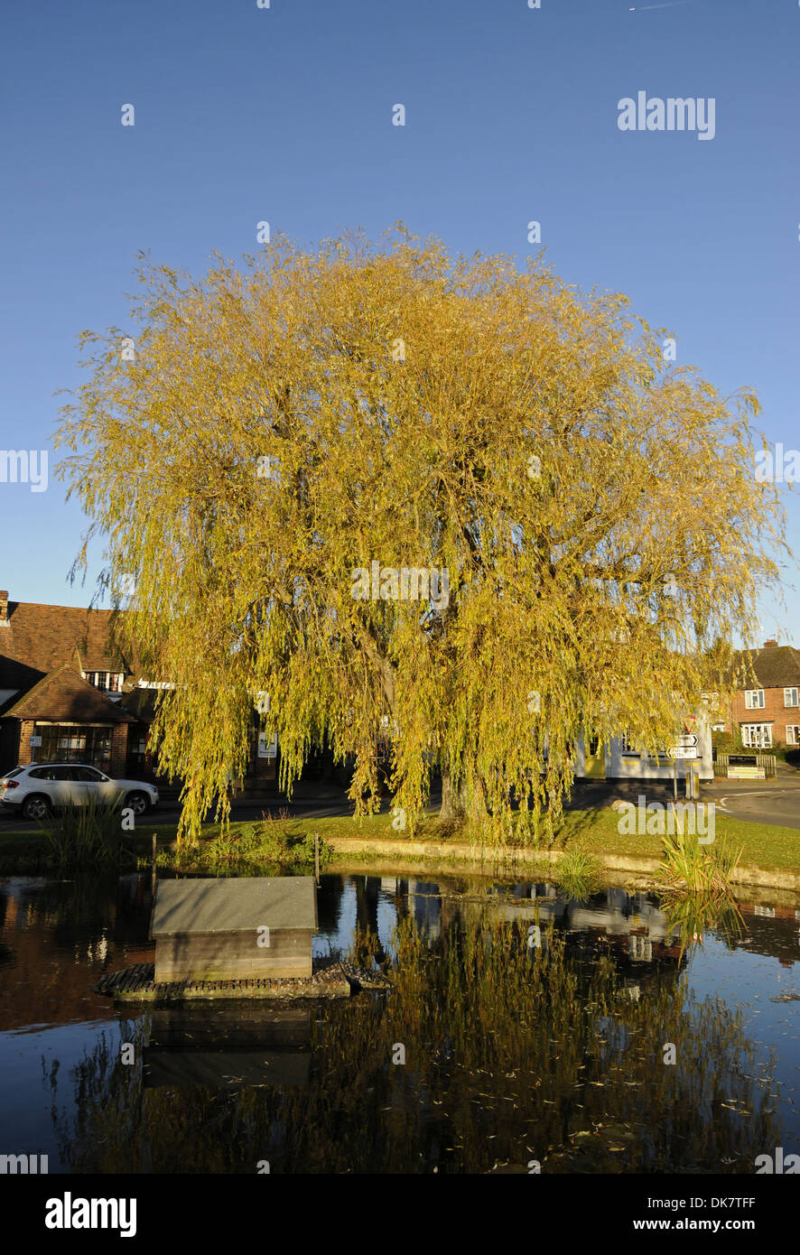 Autumn Trees around Pond in the Village of Otford Kent England Stock ...