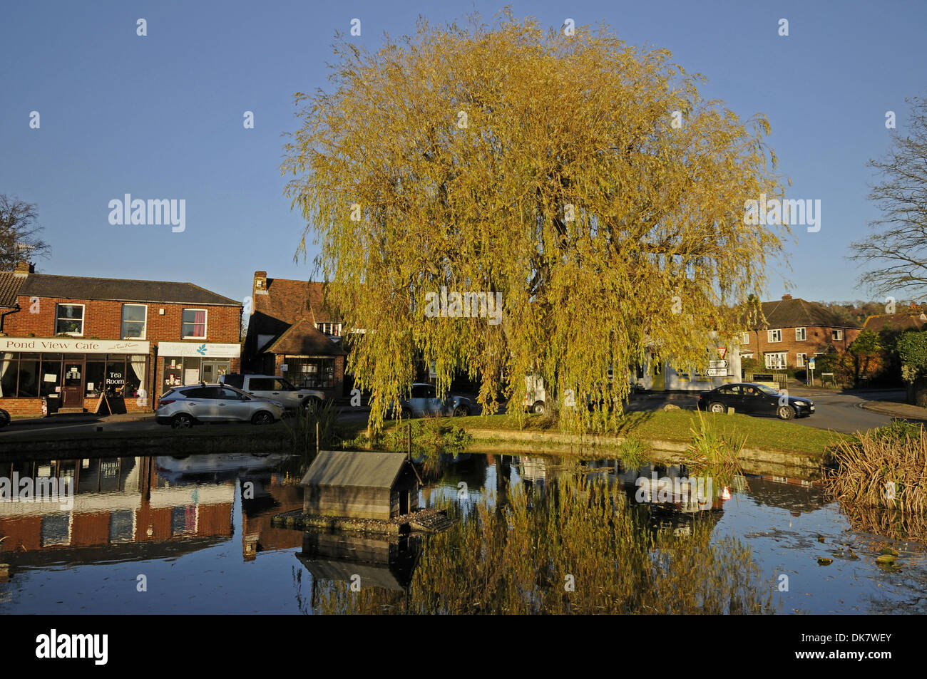 Autumn Trees around Pond in the Village of Otford Kent England Stock ...