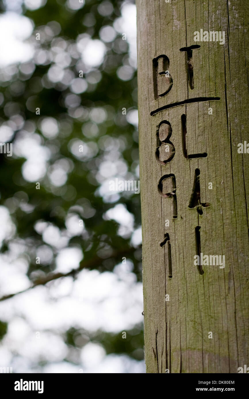 A British Telecom telegraph/telephone pole has branded into it BT 8L 94 ...