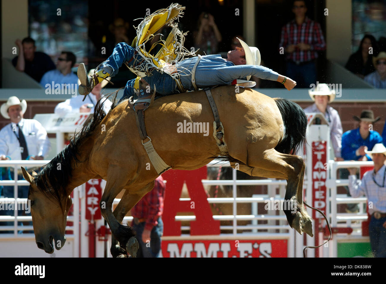 Stampede canada dance hi-res stock photography and images - Alamy