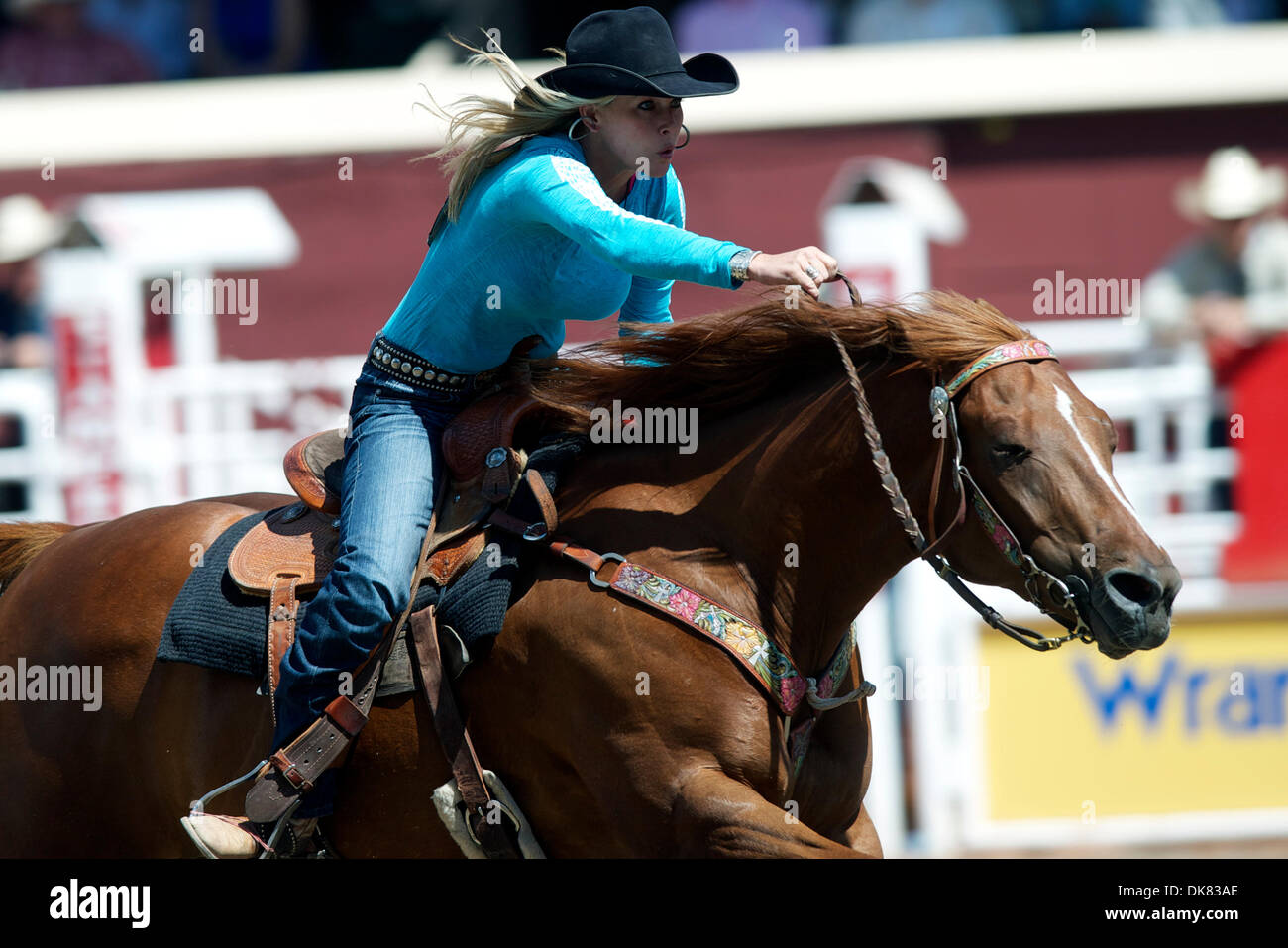 Calgary stampede cowboy cowgirl hi-res stock photography and images - Alamy