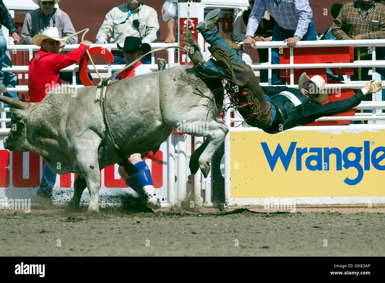 Regina knight hi-res stock photography and images - Alamy