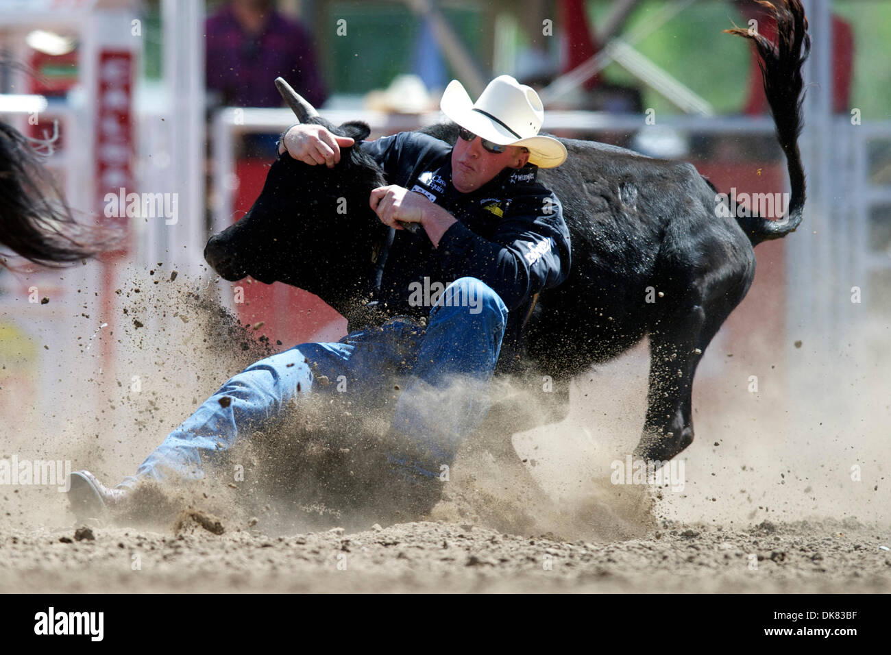 July 8, 2011 - Calgary, Alberta, Canada - Steer wrestler Lee Graves of ...