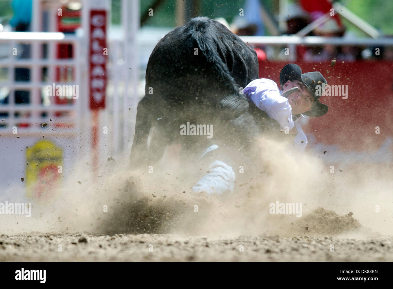 Wrestler matt hi-res stock photography and images - Alamy
