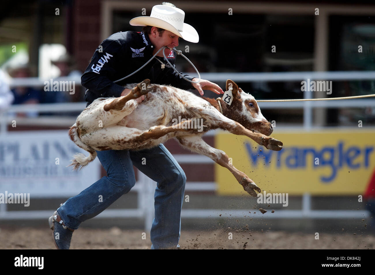 Trevor brazile rodeo hi-res stock photography and images - Alamy
